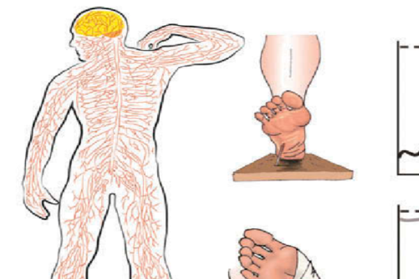 Hurt vs. Harm: Understanding Pain